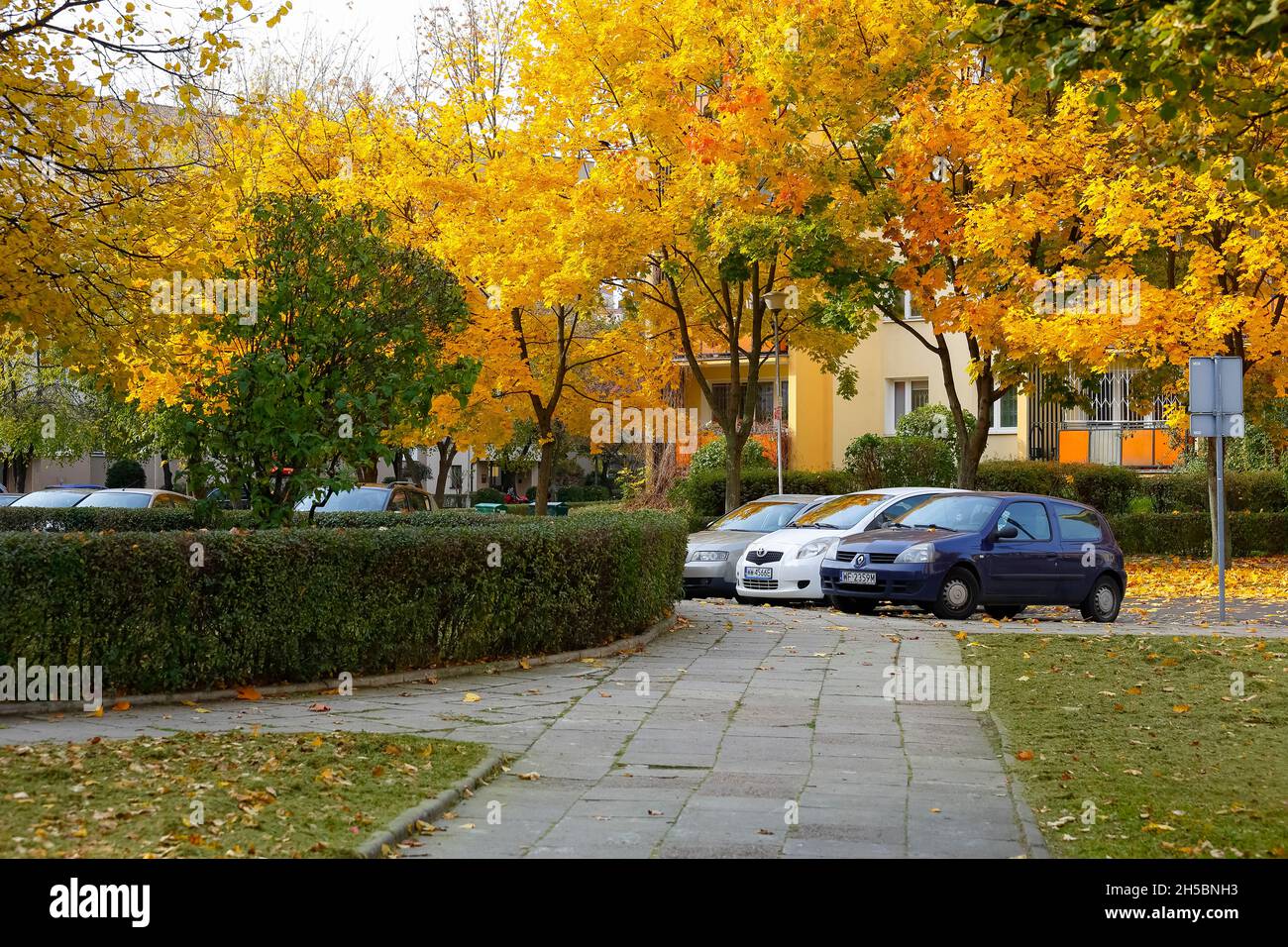 Warsaw, Poland - October 20, 2021: Maple trees in the Goclaw housing ...
