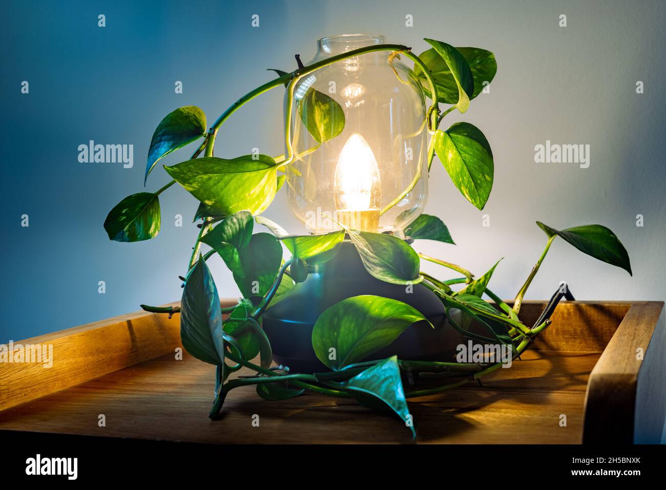 Biomass system and wind energy hi-res stock photography and images - Alamy