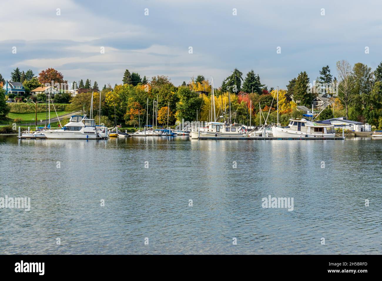 A Lake Wasington marina and colorful fall trees in Seattle, Washington ...