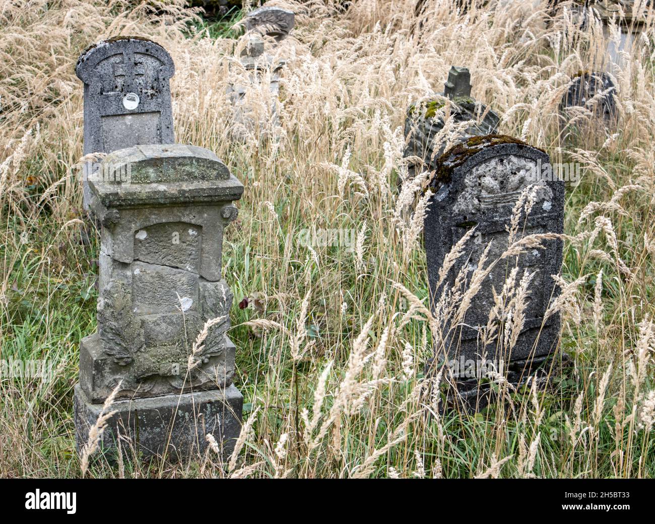 Old tombstones in a rural cemetery overgrown with tall grass Stock ...