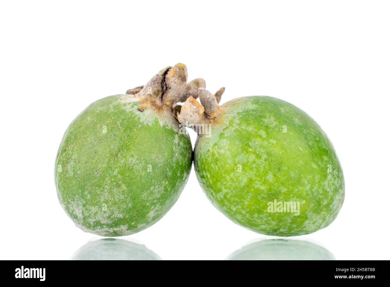 Delicious fresh feijoa fruits Cut Out Stock Images & Pictures - Alamy