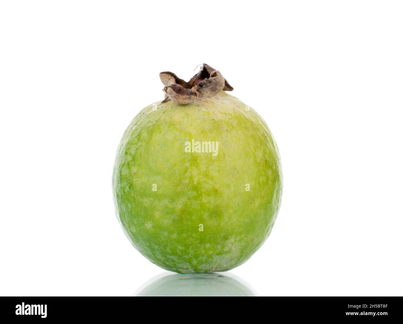 One ripe sweet feijoa fruit, close-up, isolated on white Stock Photo ...