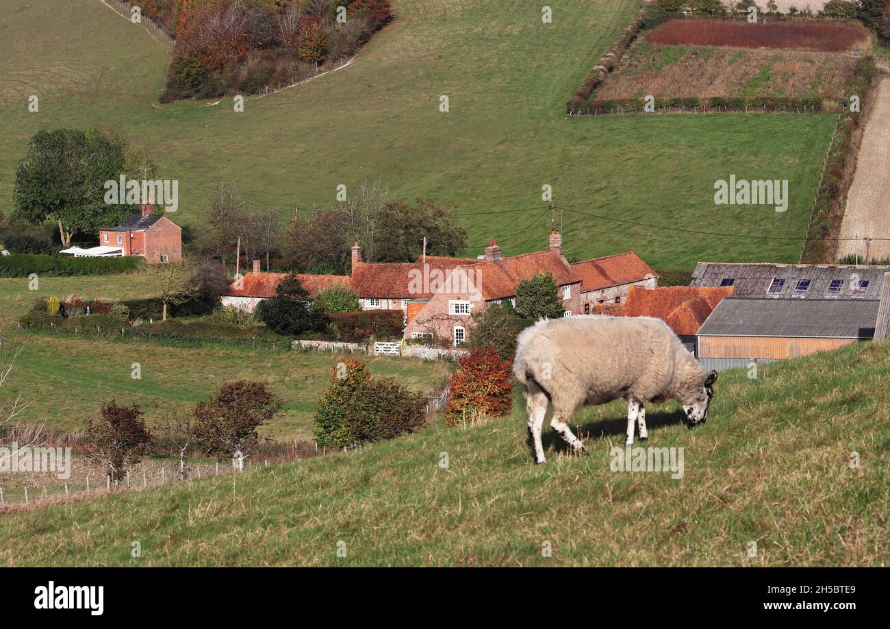 An English Rural Landscape in the Chiltern Hills with Farmhouse in the ...