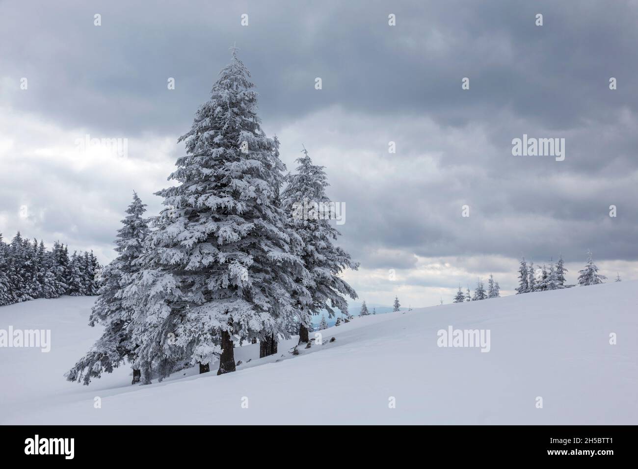 Lonely landscape hi-res stock photography and images - Alamy