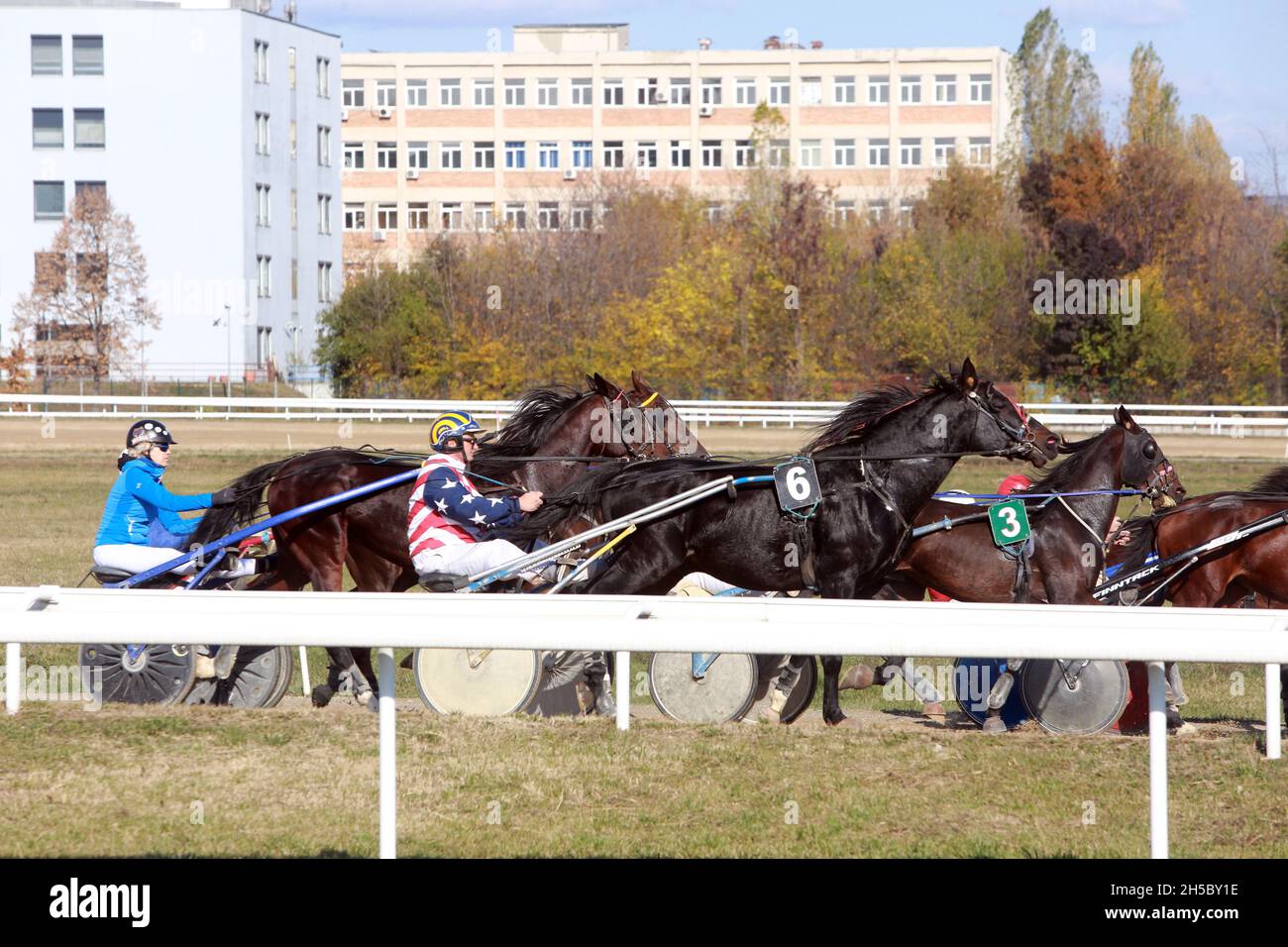 PLOIESTI, ROMANIA - October 24, 2021: Harness (sulky) racing at ...