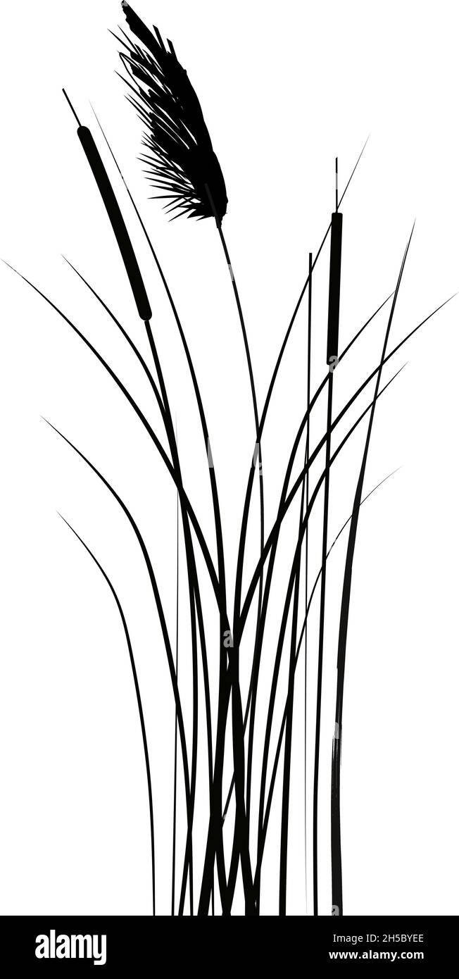 Small puddle water on white background Cut Out Stock Images & Pictures ...