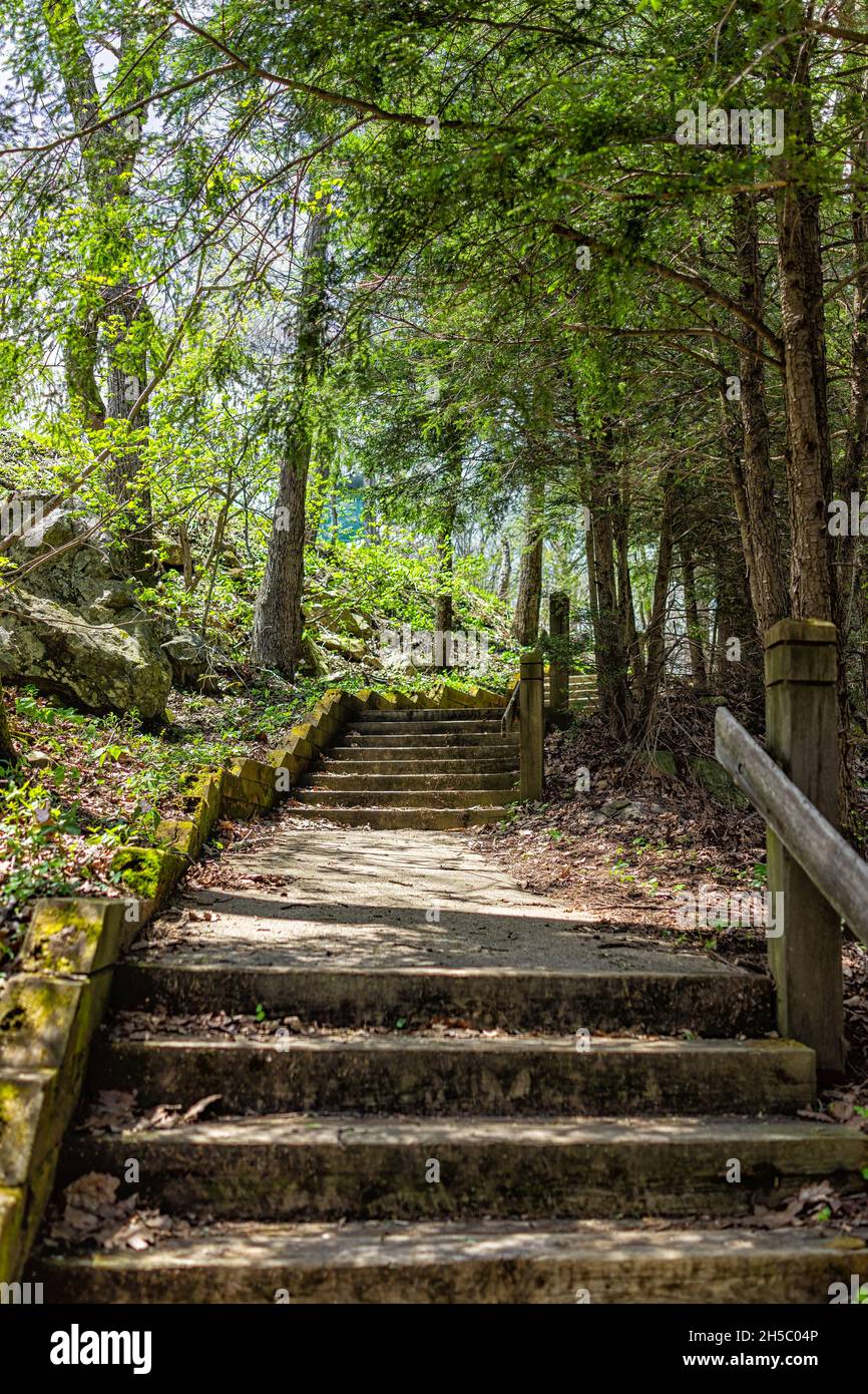 Appalachian Trail Steps High Resolution Stock Photography and Images ...