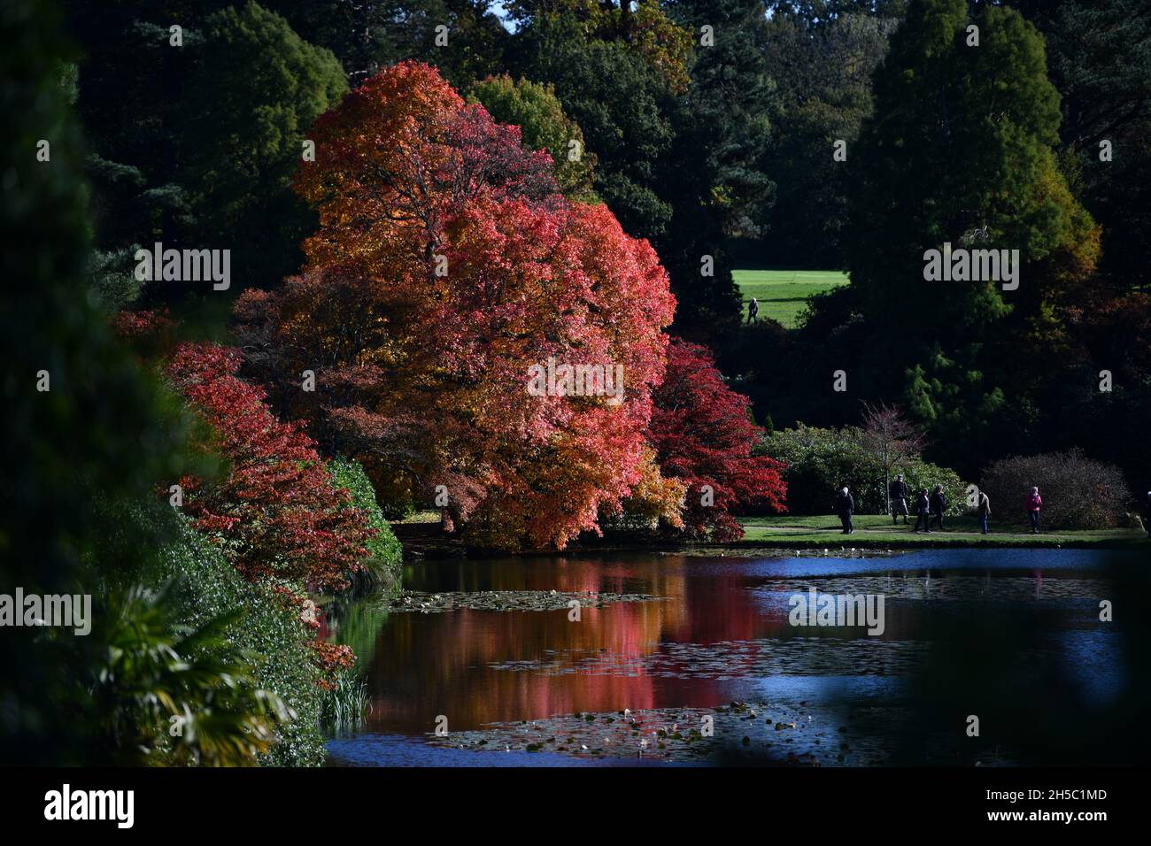Trees and parks in Autumn colours Stock Photo - Alamy