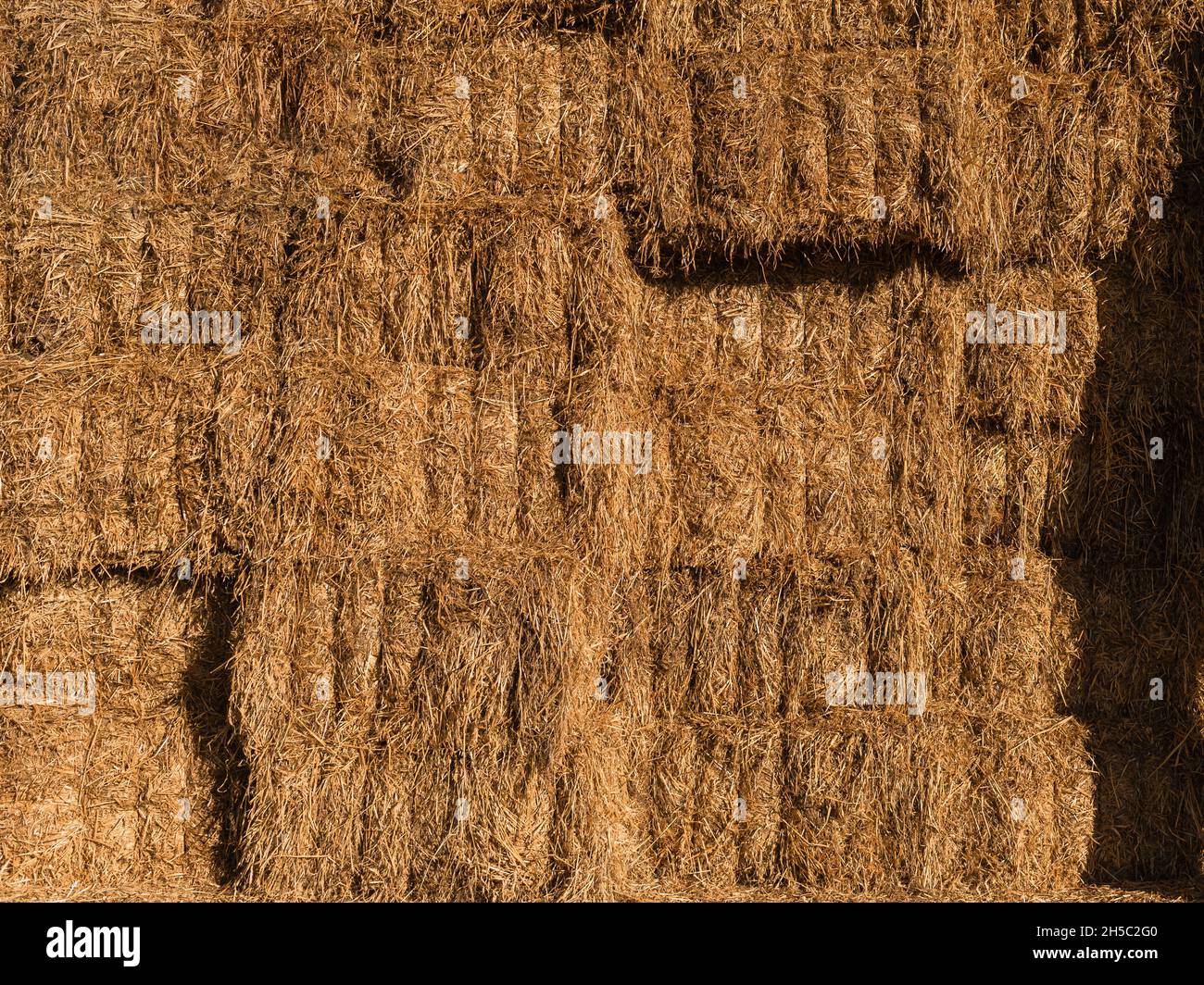 View of stacked hay bales after harvest on the field Stock Photo - Alamy