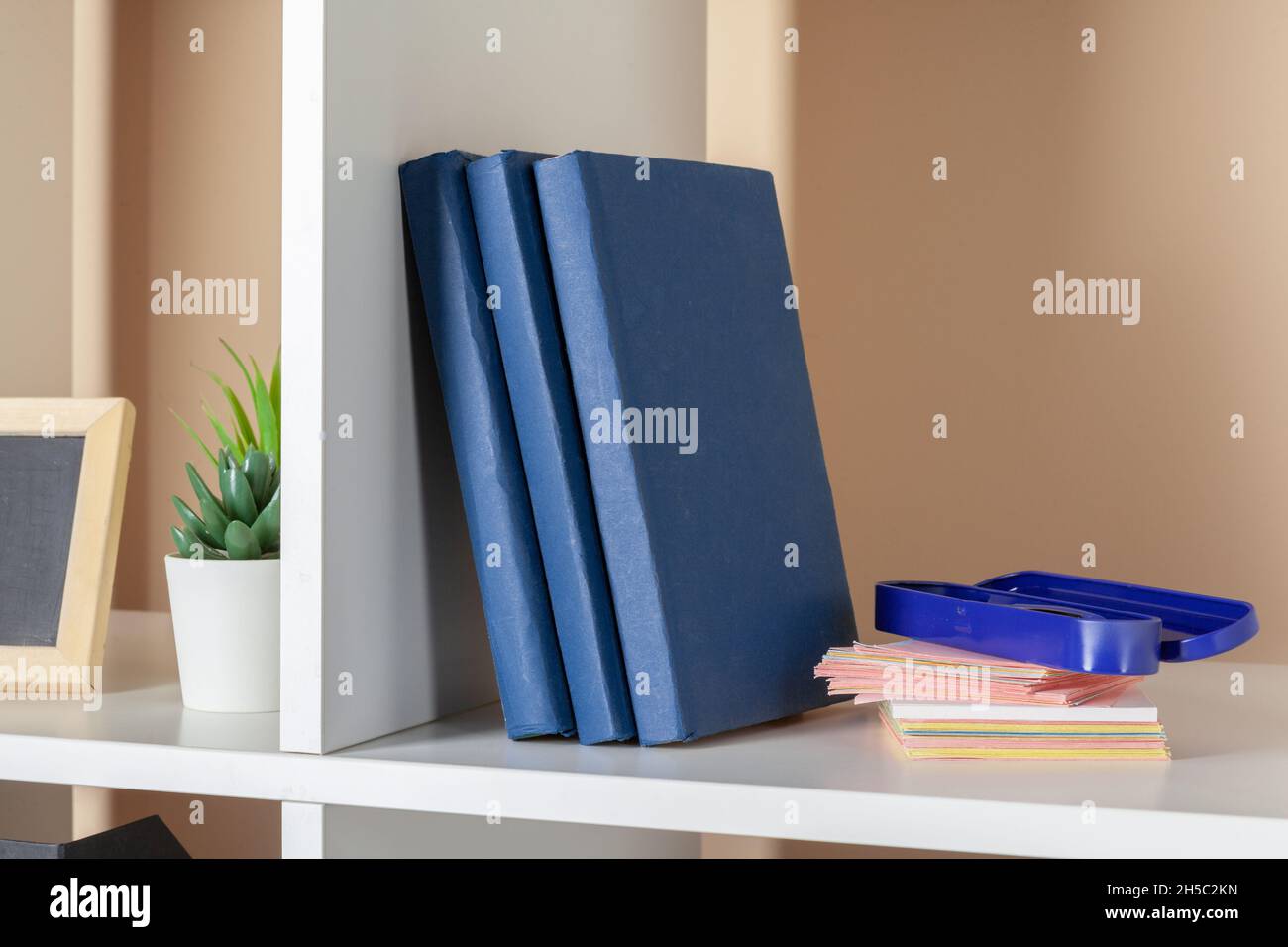 File folders, standing on the shelves at office Stock Photo - Alamy