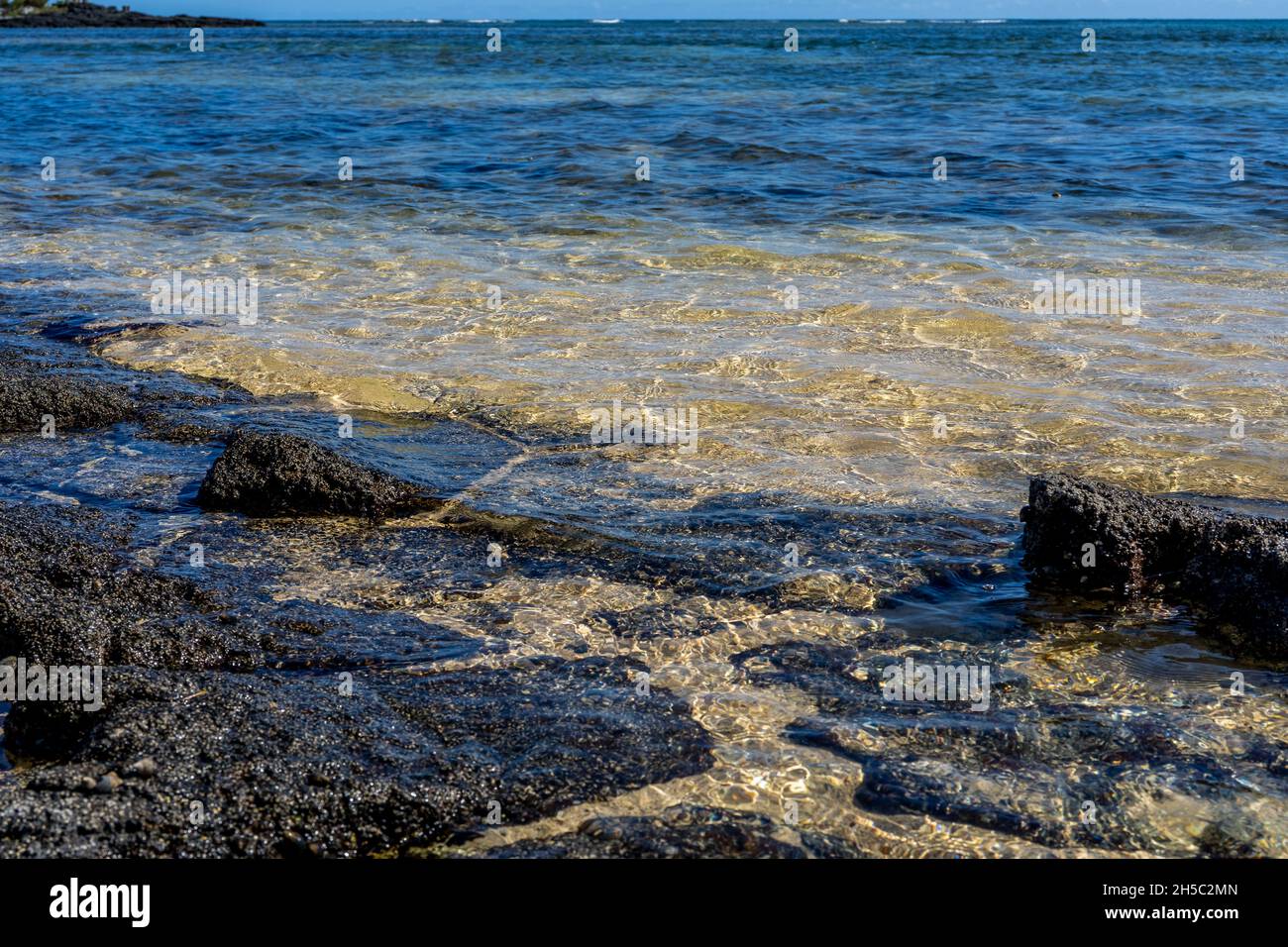 Close-up of volcanic stone beach rock with shells and barnacles on the ...