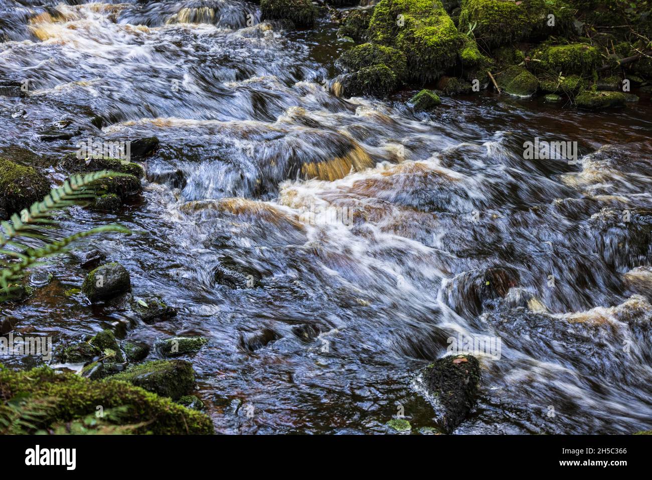 The Ogeen River on the Canon Sheehan loop walk in the Ballyhoura forest ...
