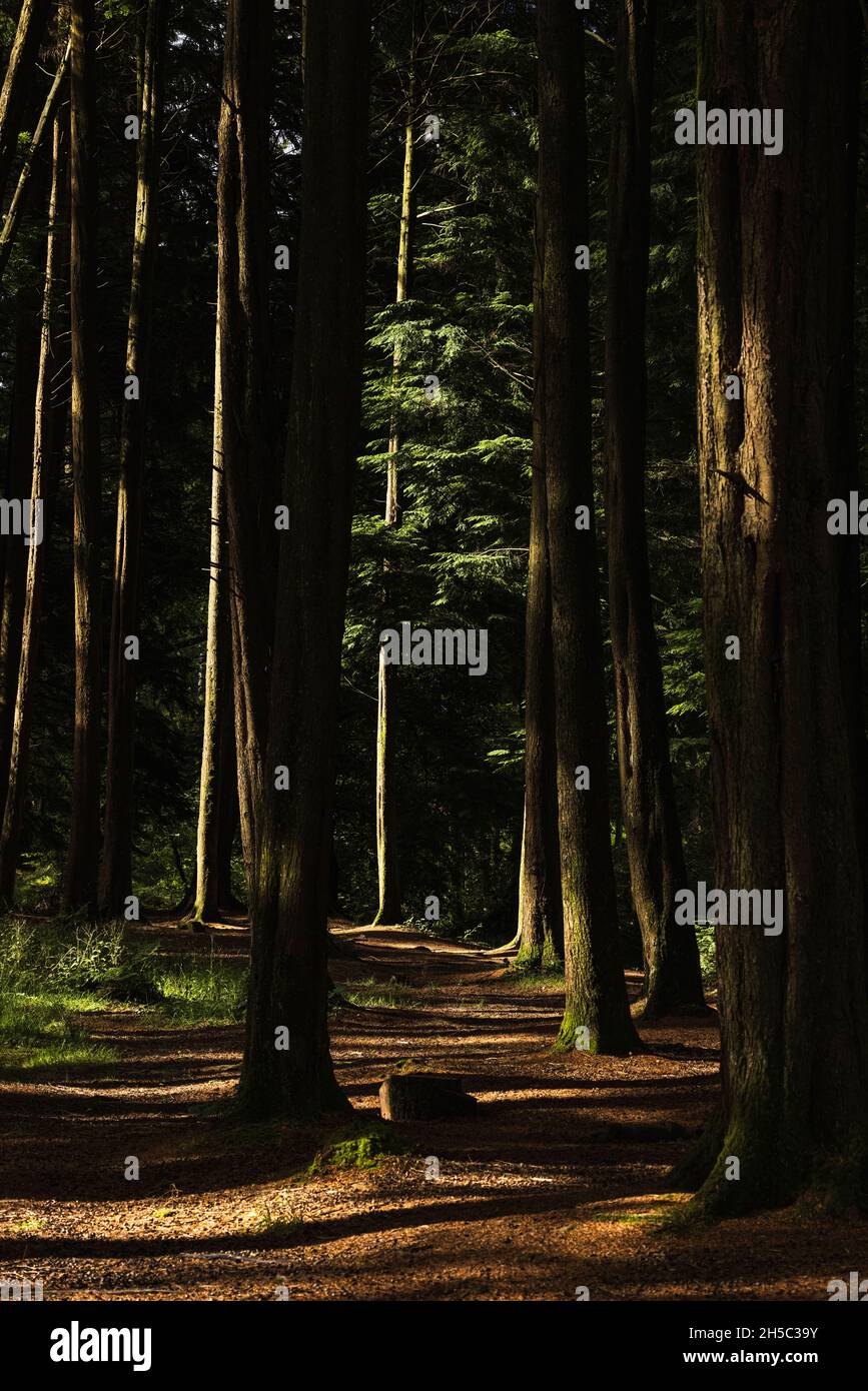 Canon sheehan loop walk hi-res stock photography and images - Alamy