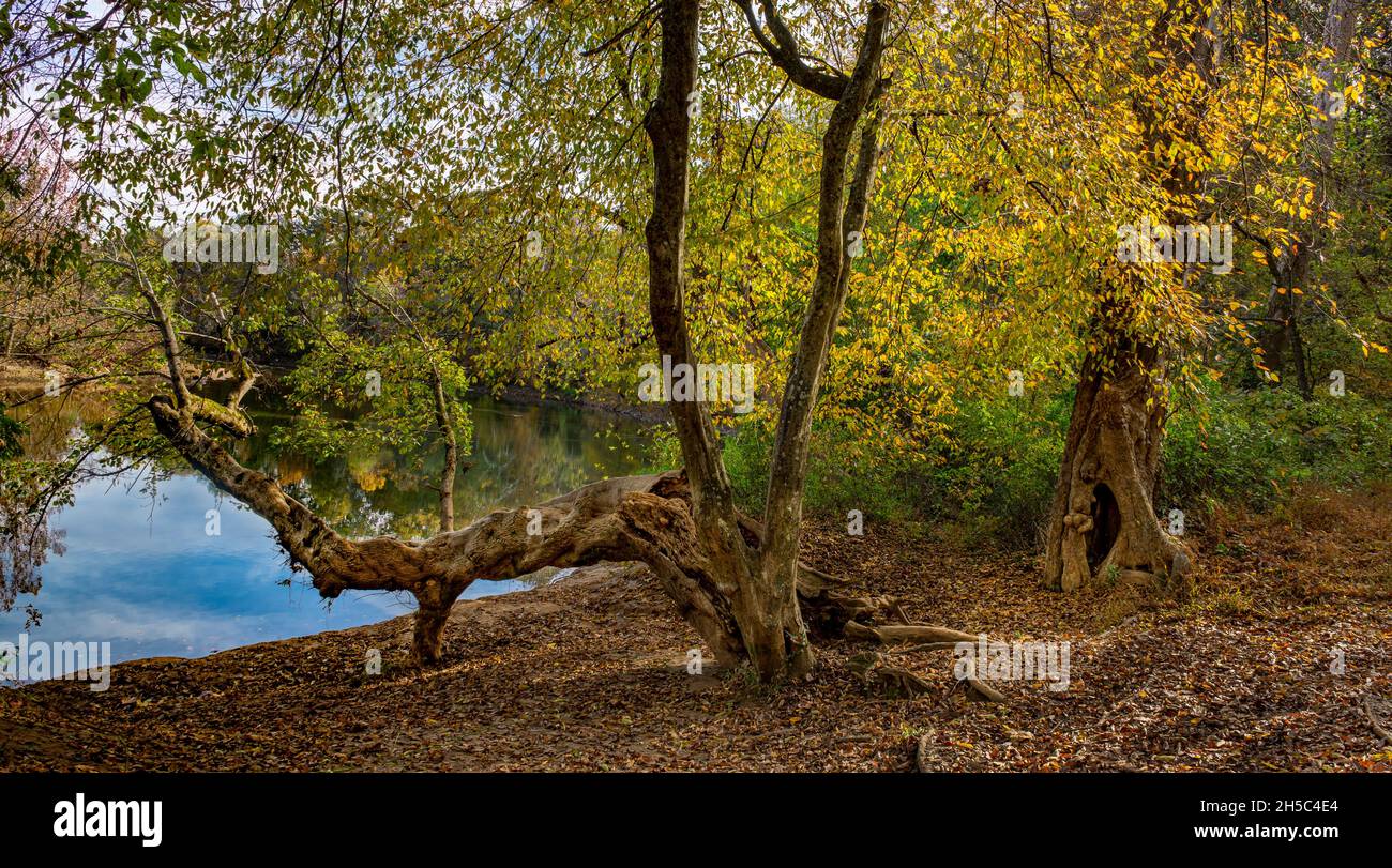Rivanna trail hi-res stock photography and images - Alamy