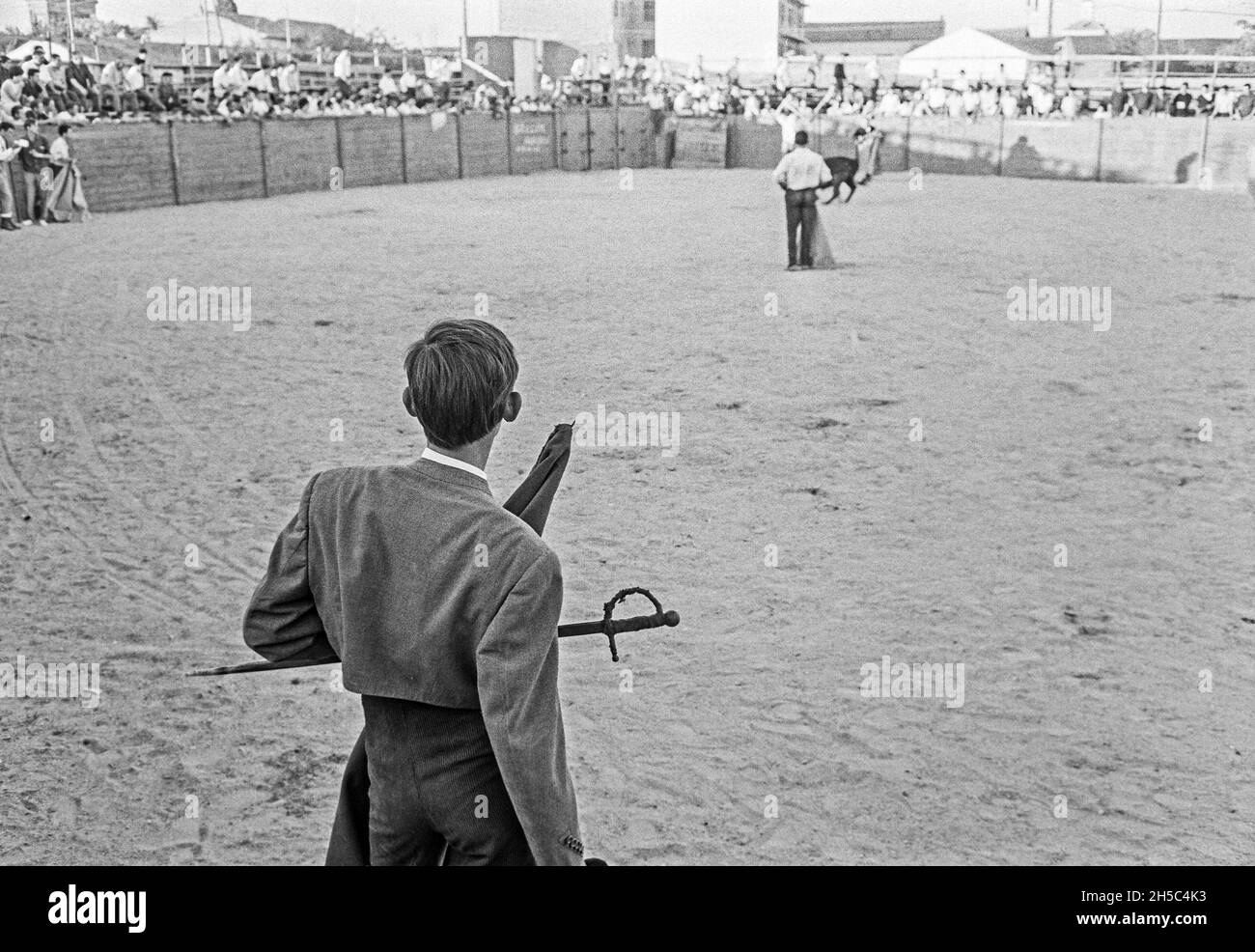 Very young bull fighter fighting black young bull on a small arena ...