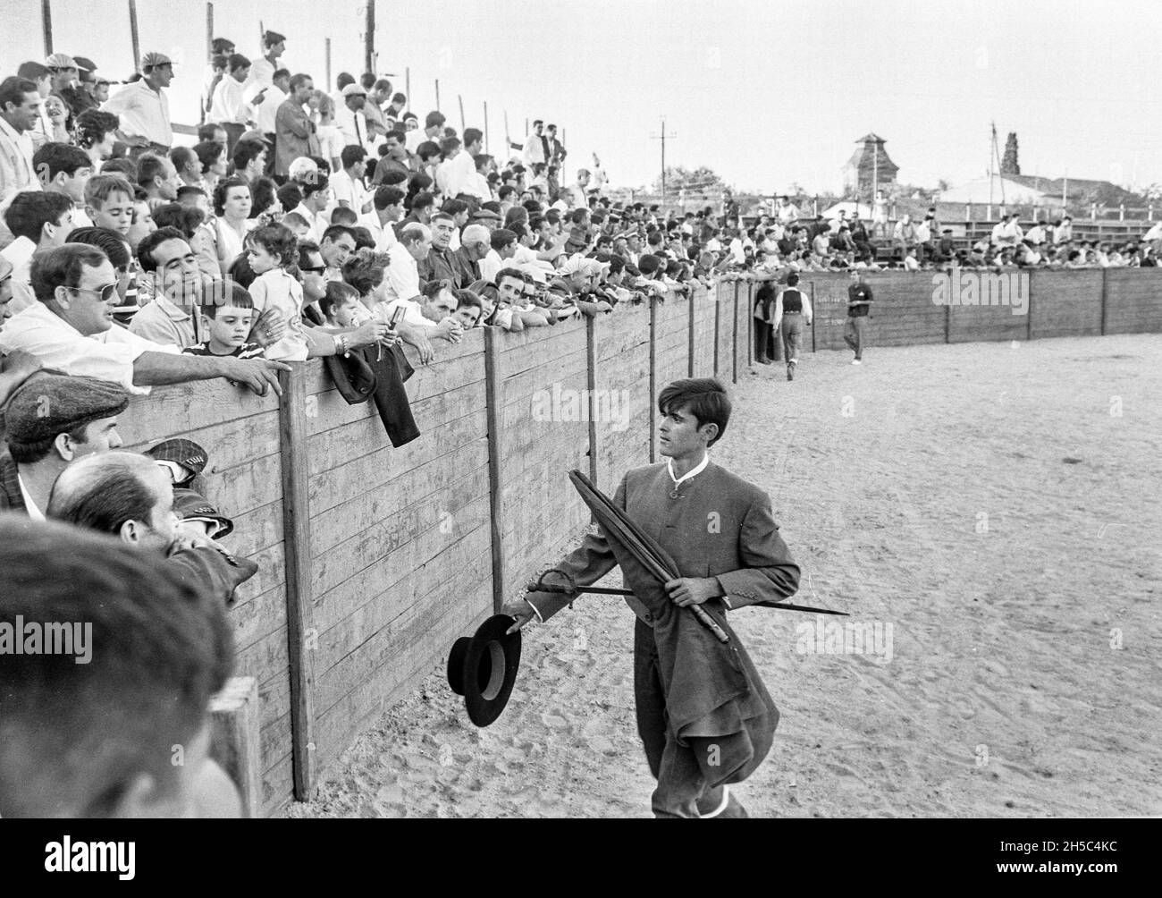 Very young bull fighter fighting black young bull on a small arena ...