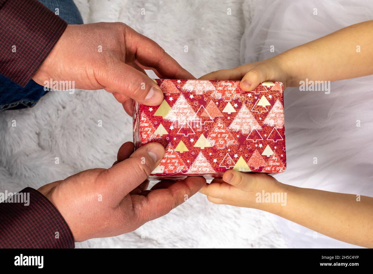 Beala box with a gift, with a New Year's print of trees, the hands of a ...