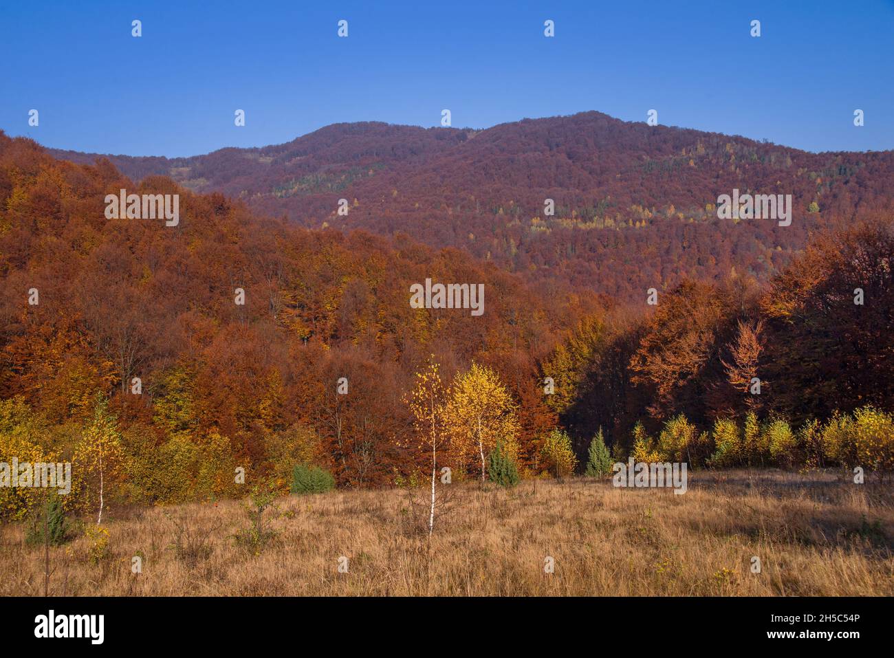 View of hills of Water Dividing ridge covered in red, orange and yellow ...