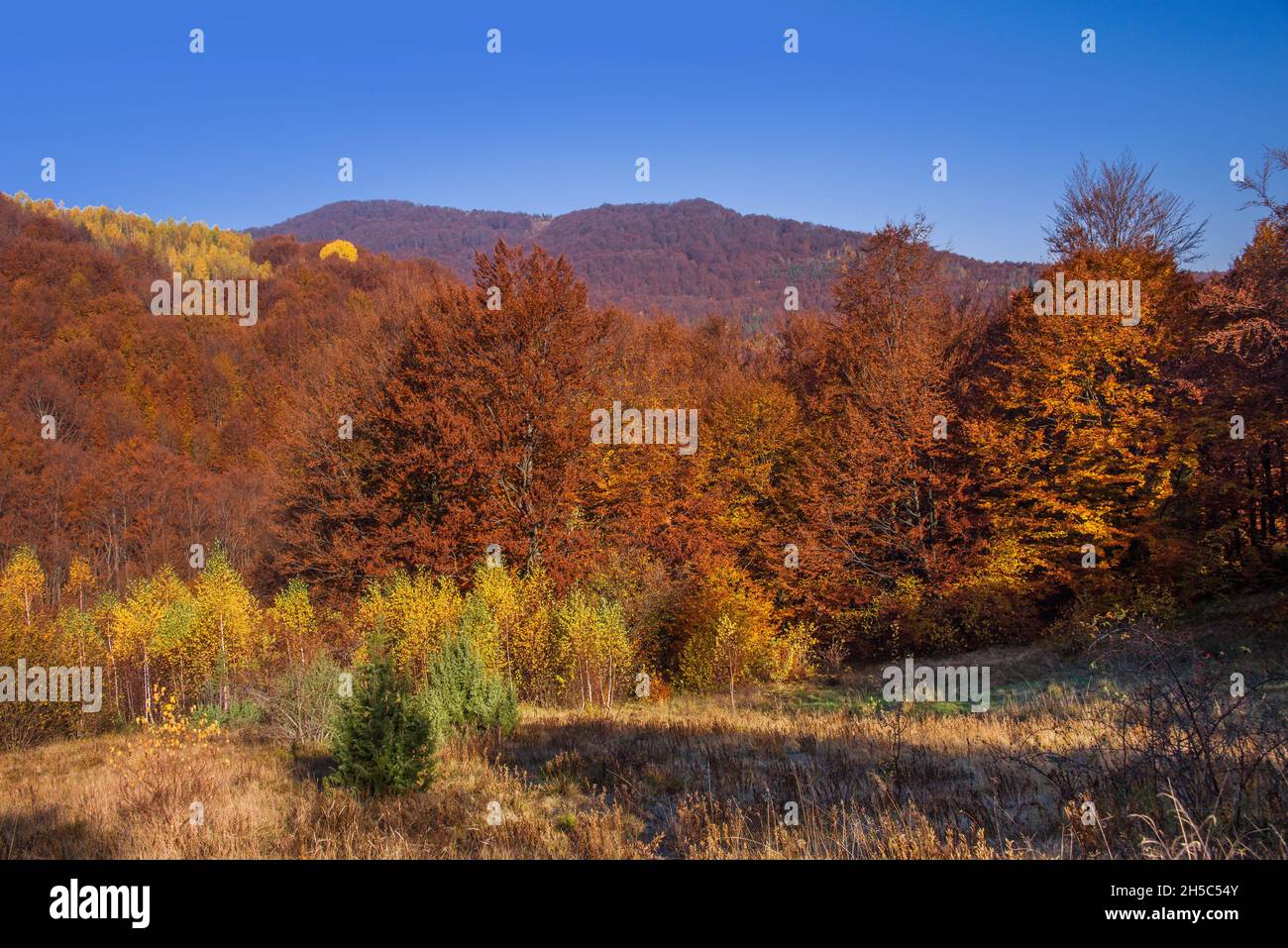 View of hills of Water Dividing ridge covered in red, orange and yellow ...