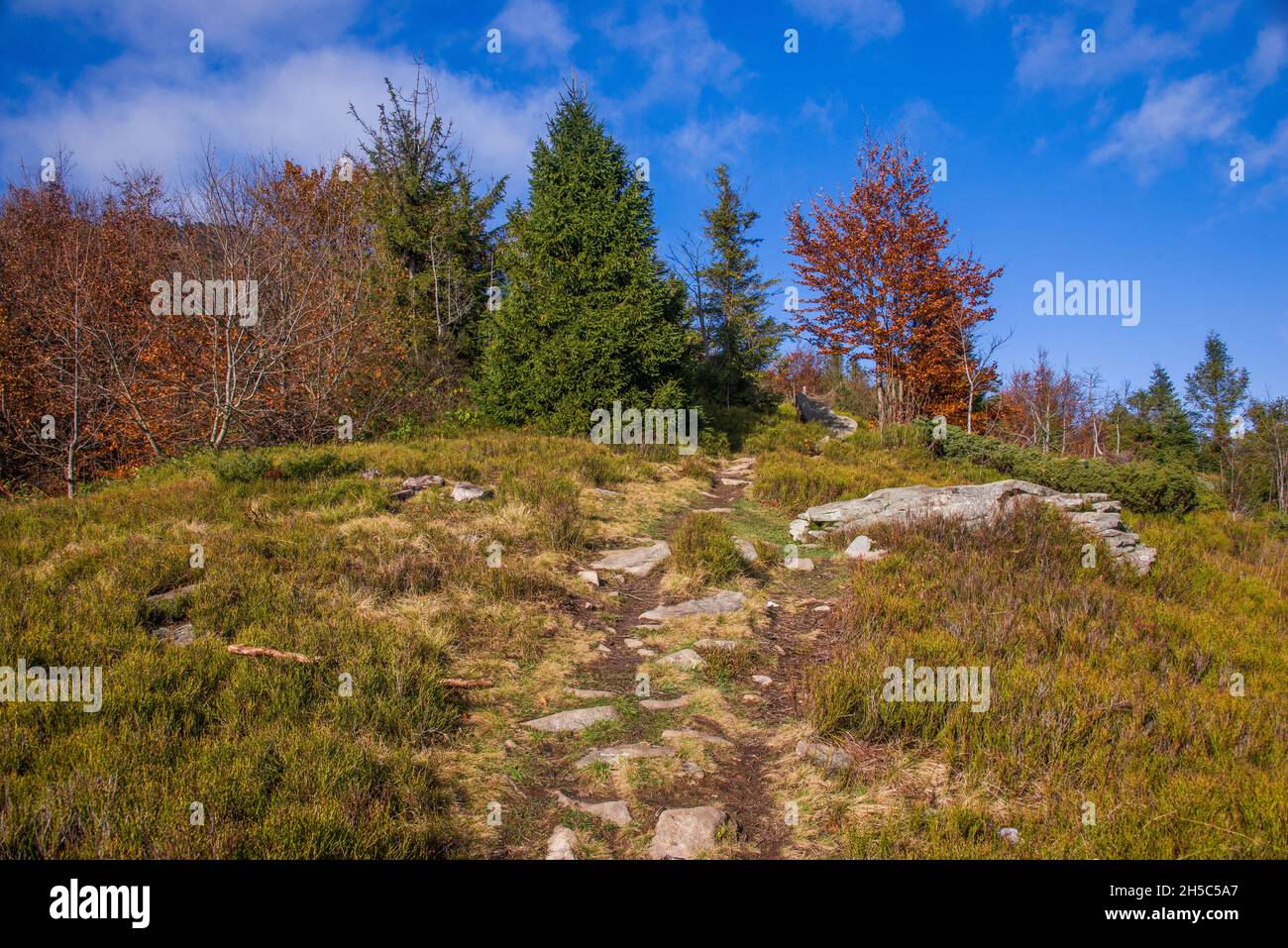 View of hills of Water Dividing ridge covered in red, orange and yellow ...
