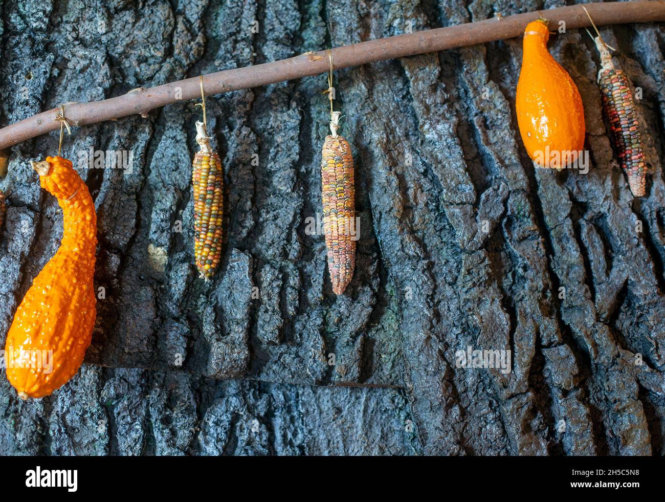 Gourds native american hi-res stock photography and images - Alamy