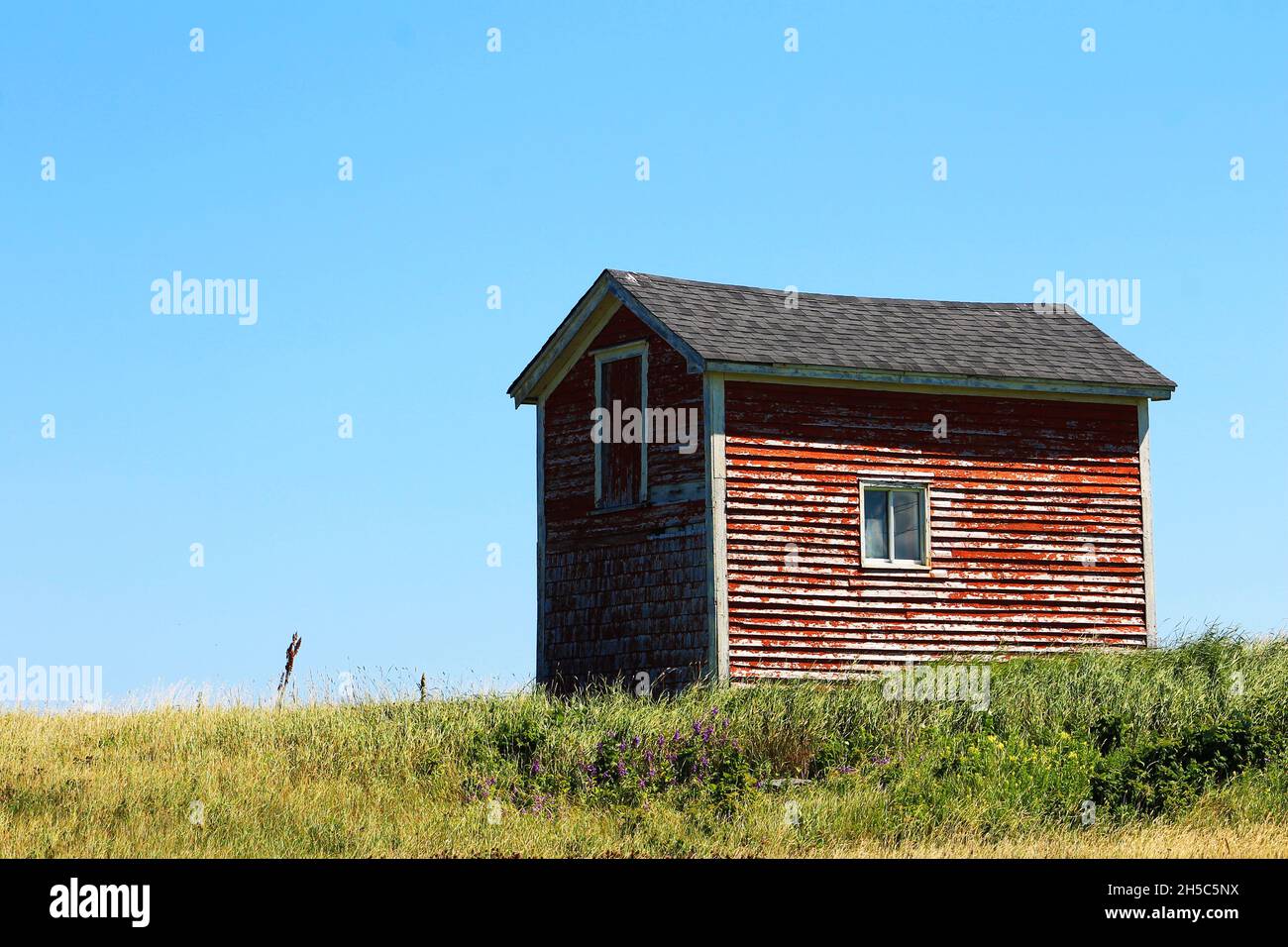 Small grassy field abandoned hi-res stock photography and images - Alamy