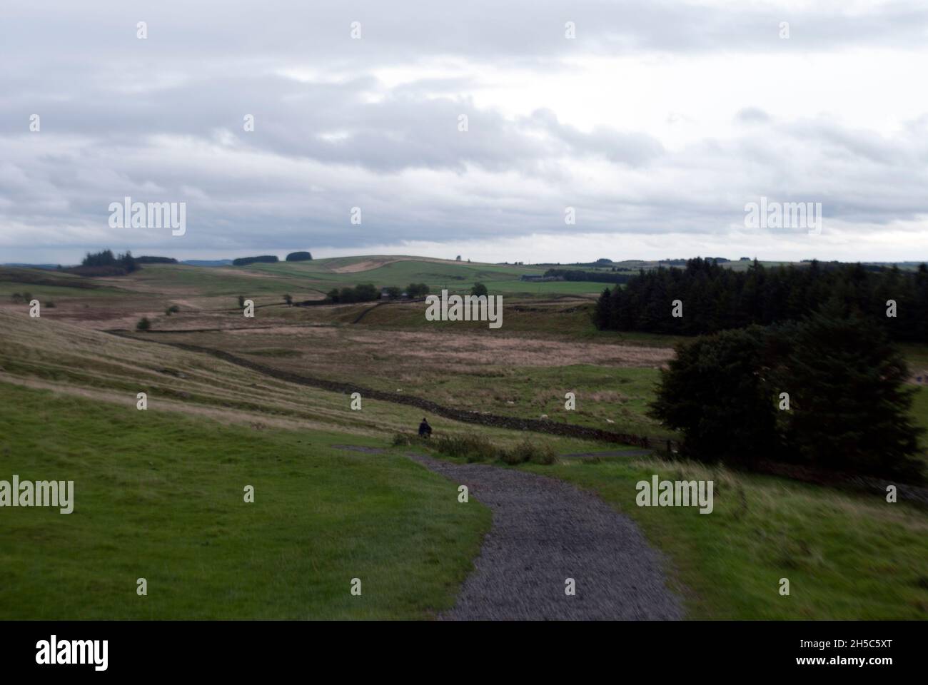 Hexham park walkway hi-res stock photography and images - Alamy