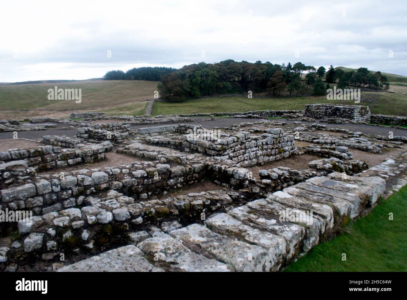 Museum housesteads roman fort hi-res stock photography and images - Alamy