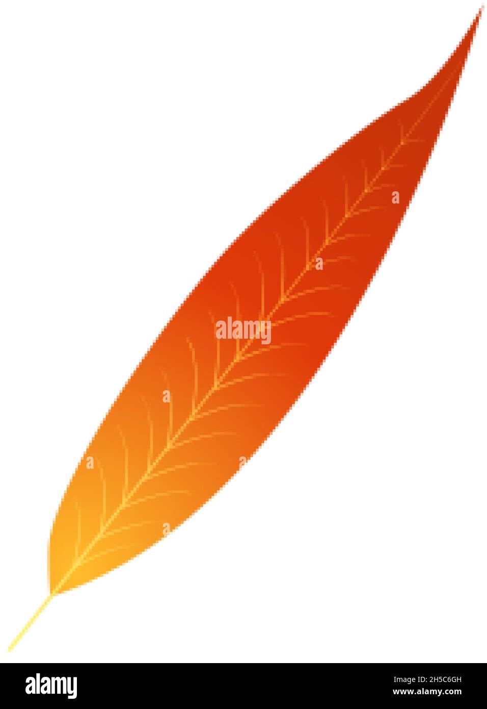 Motley fire and rust colored autumn leaf Stock Vector Image & Art - Alamy