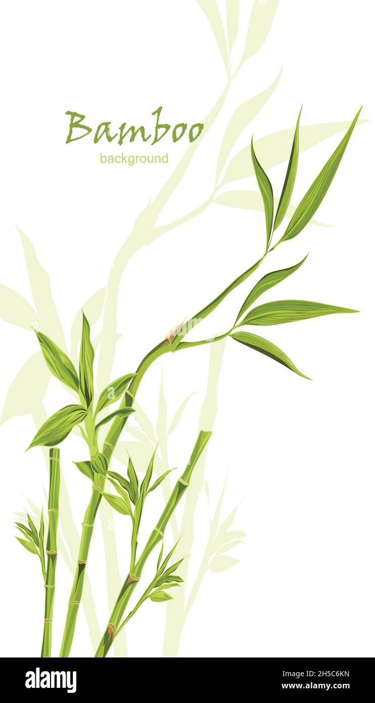 Spa background space text Stock Vector Images - Alamy