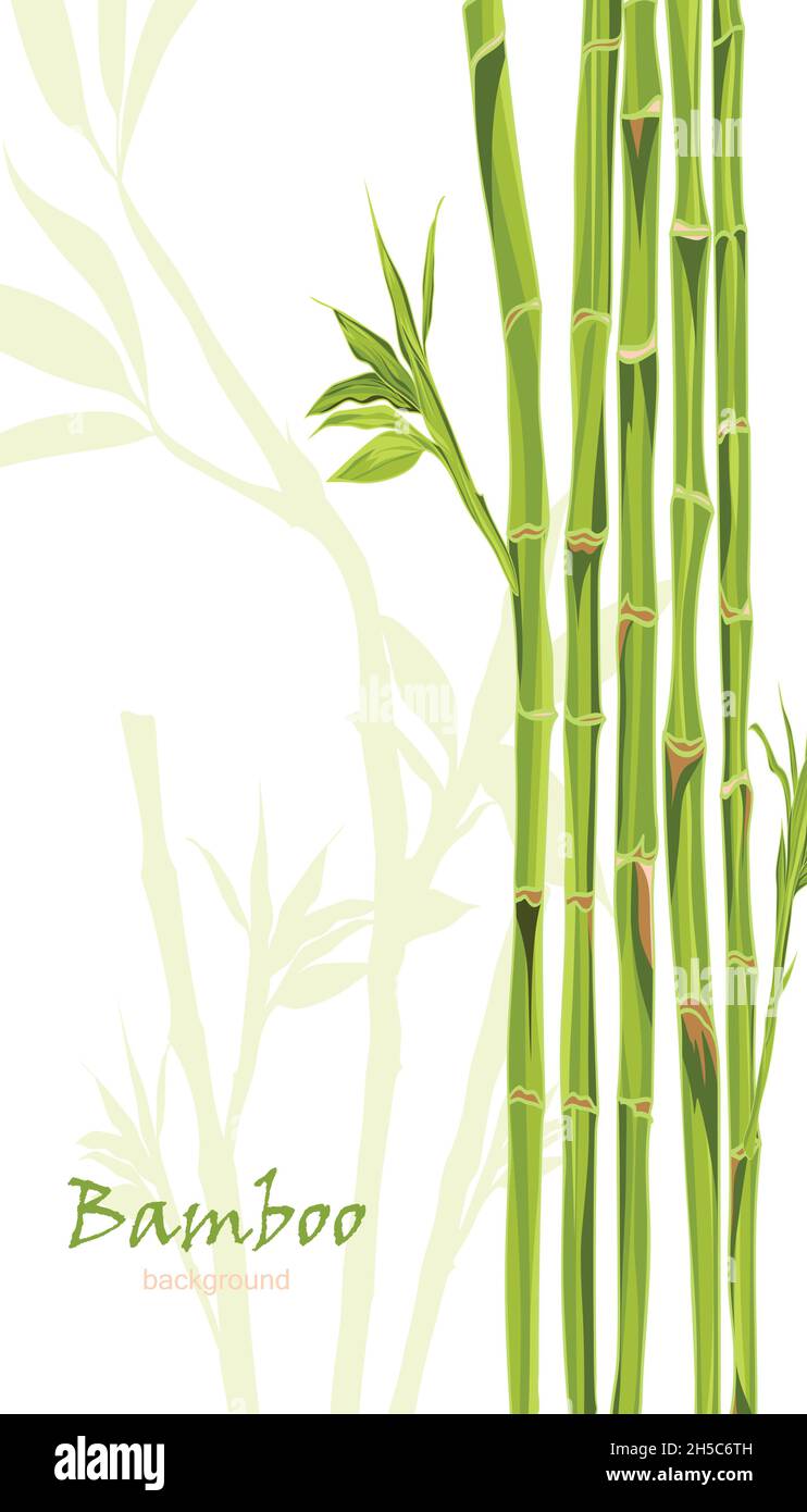 Spa background space text Stock Vector Images - Alamy