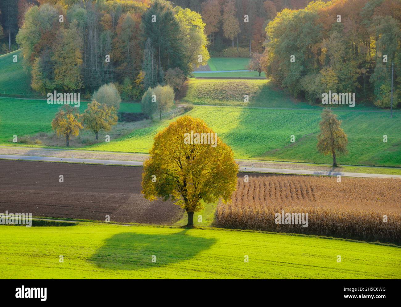 Straight road through farmland hi-res stock photography and images - Alamy