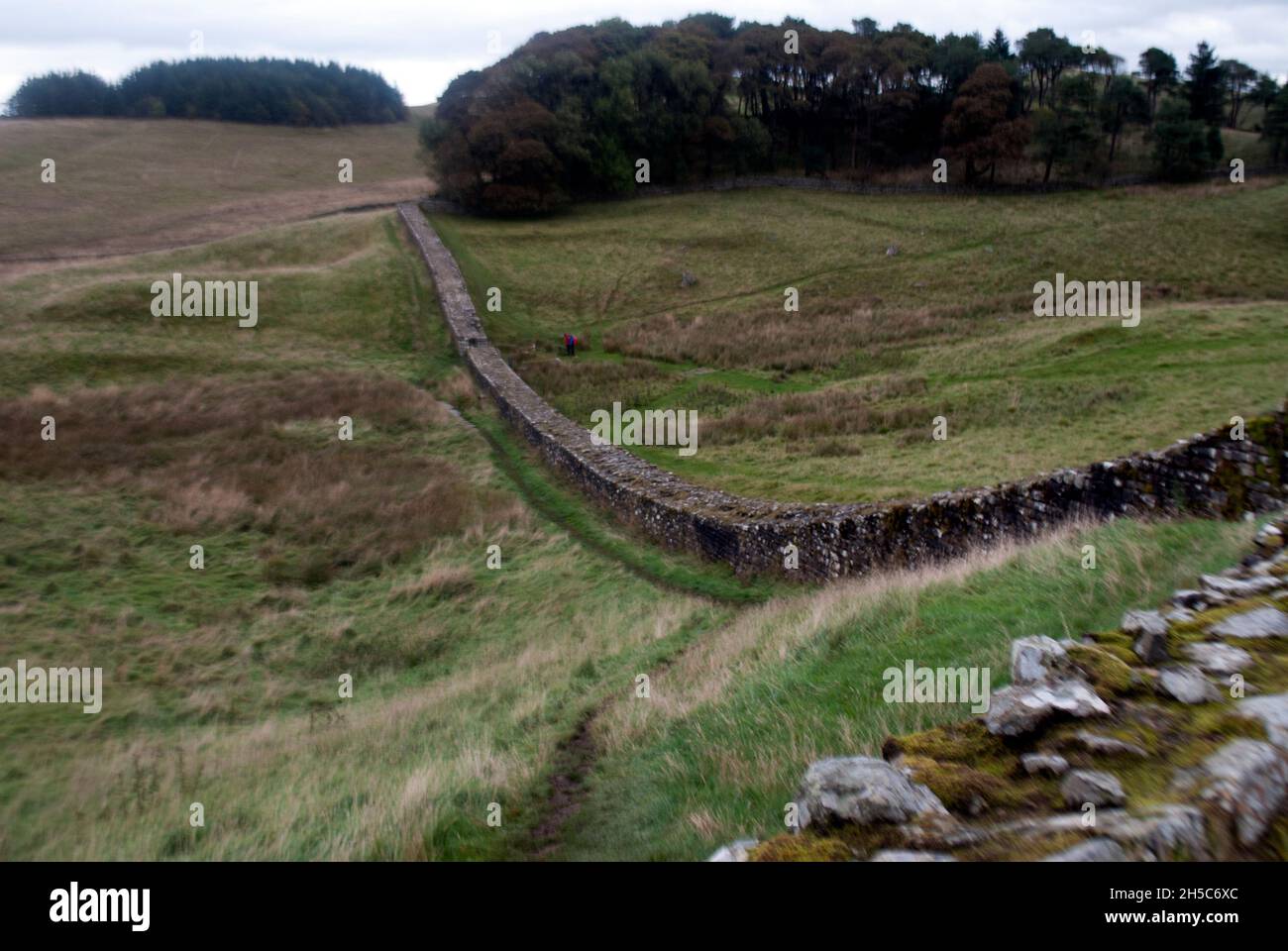 Hardian's Wall from Housesteads Roman Fort, near Hexham, Northumbria ...