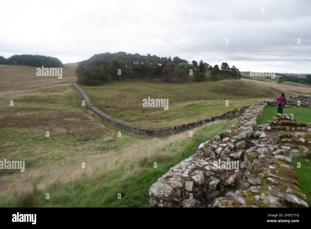 Museum housesteads roman fort hi-res stock photography and images - Alamy