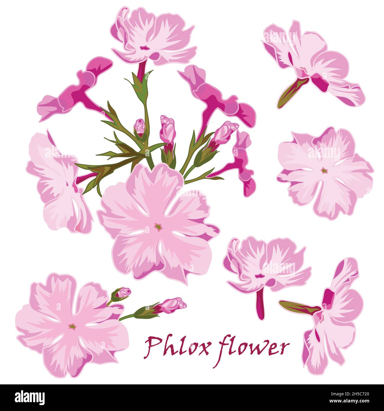 Flowers plants in nursery Cut Out Stock Images & Pictures - Alamy
