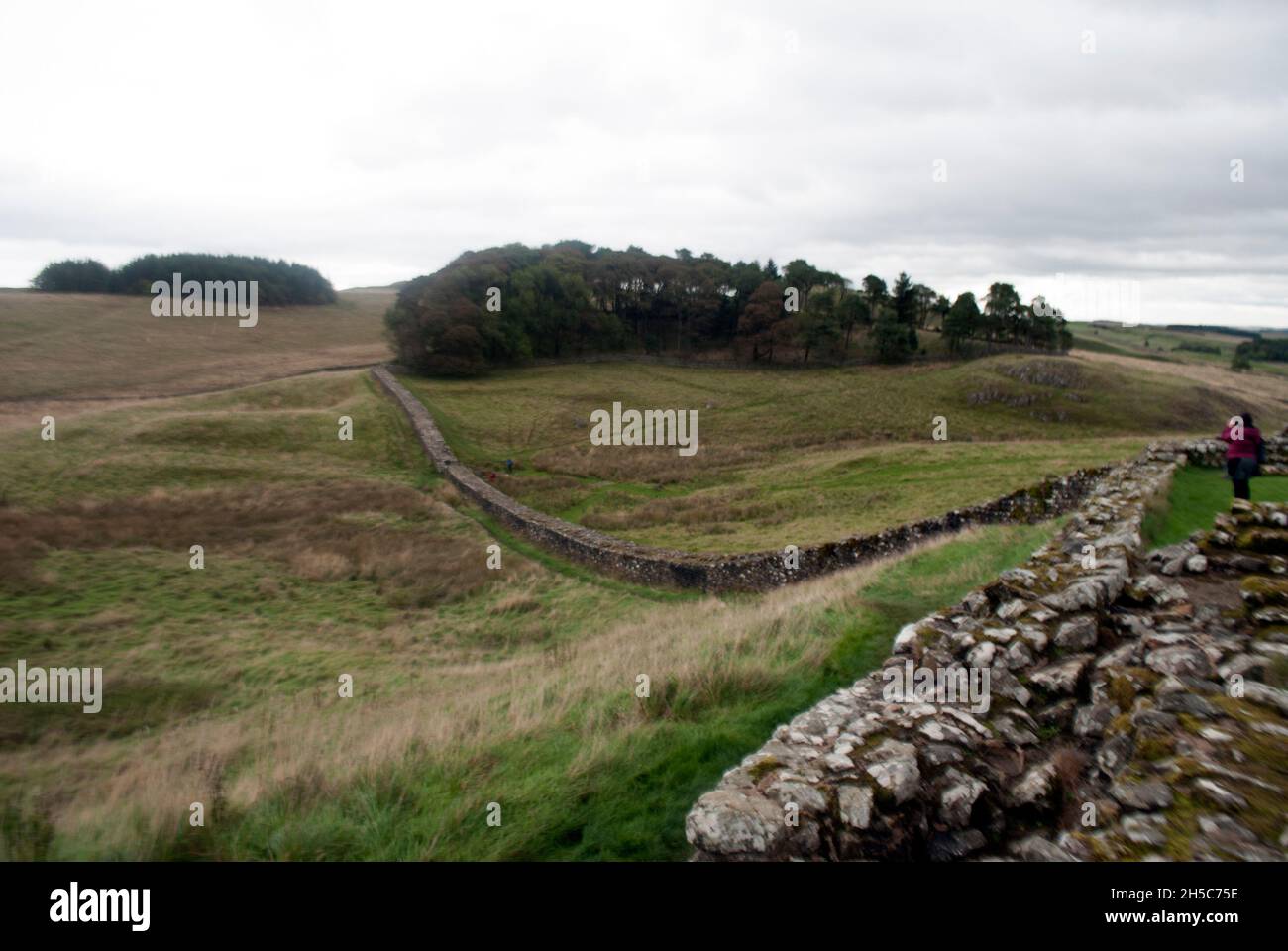 Hardian's Wall from Housesteads Roman Fort, near Hexham, Northumbria ...