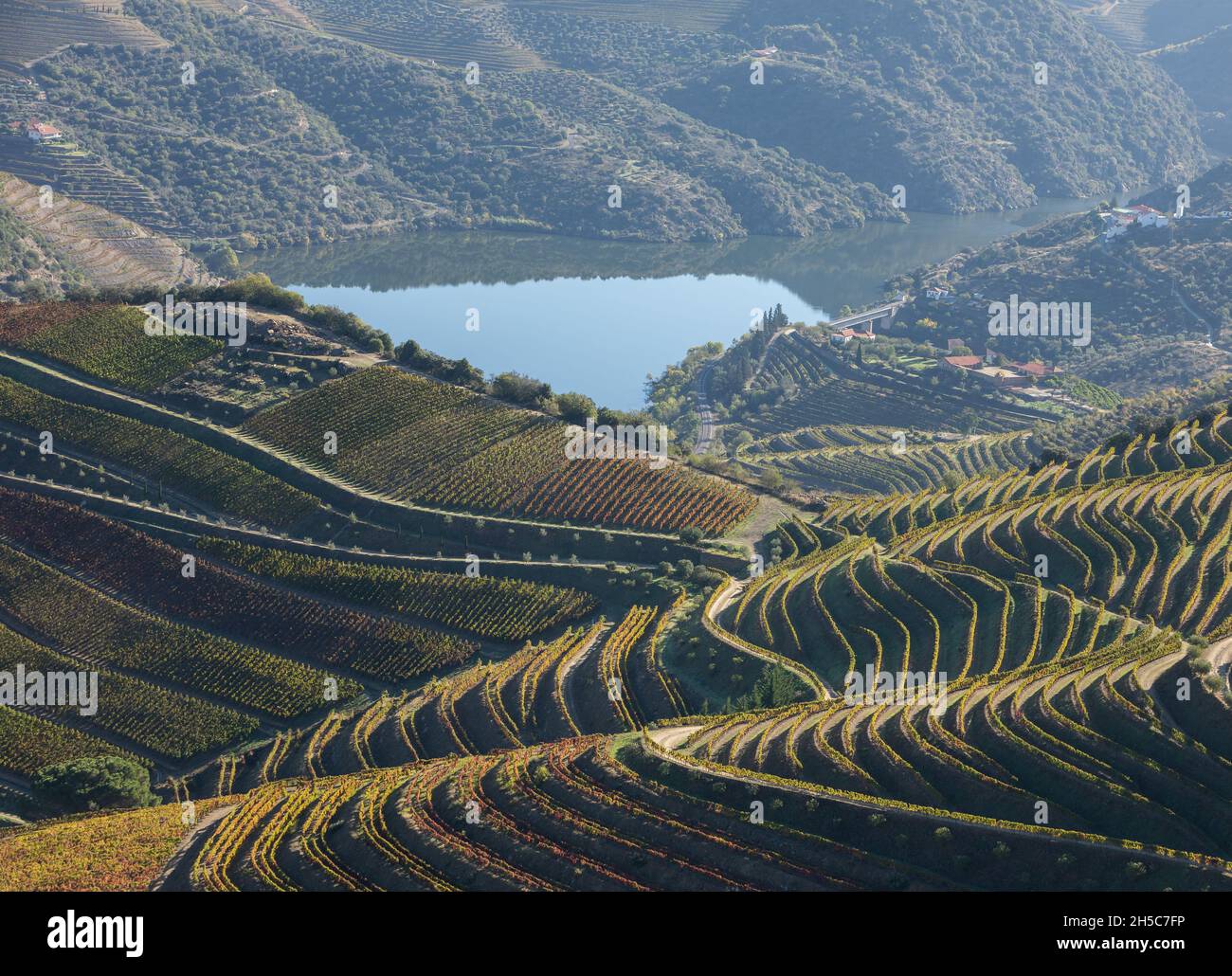 Vineyards alto douro world heritage hi-res stock photography and images ...