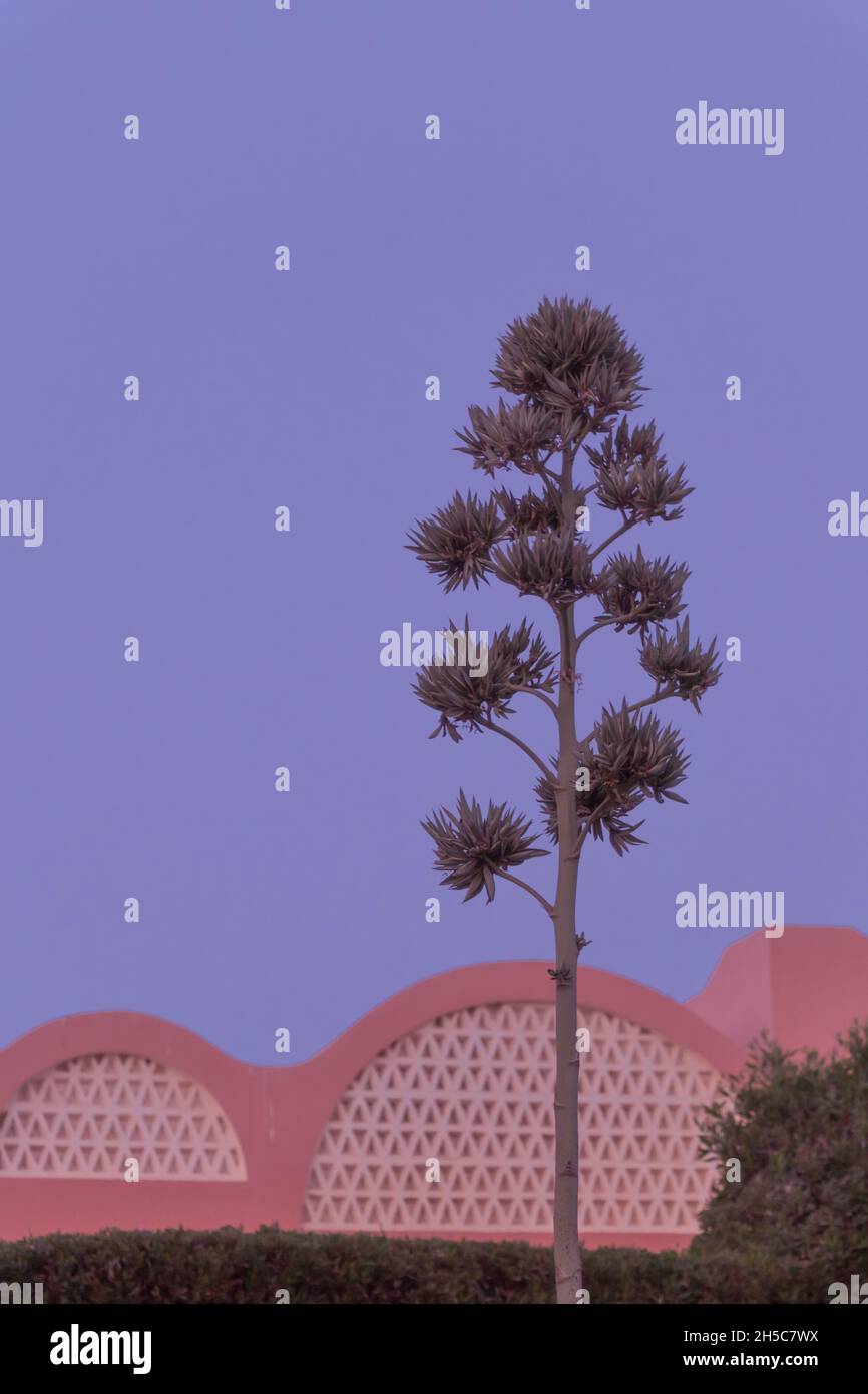 Semicircular roof hi-res stock photography and images - Alamy