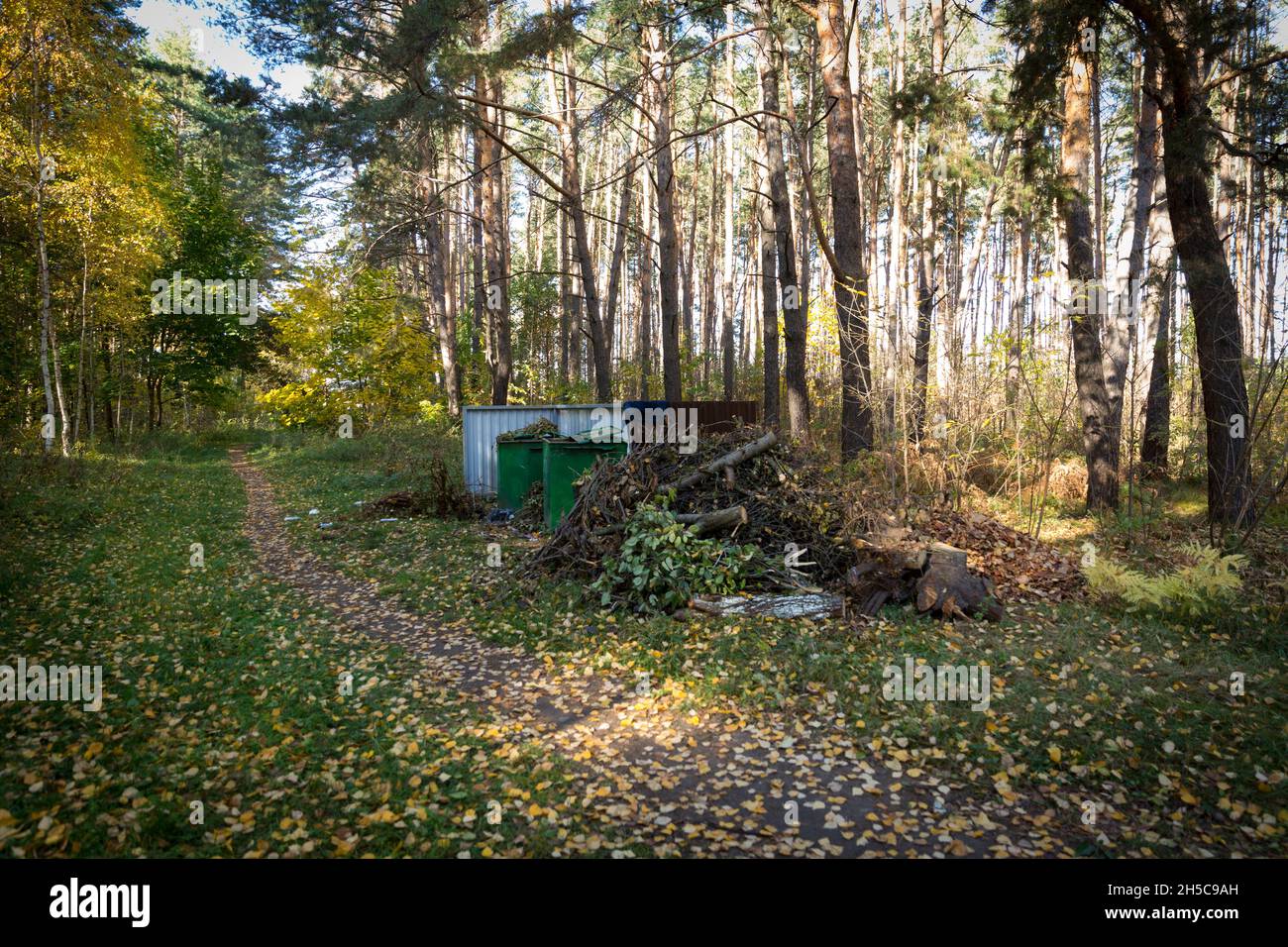 Greenery metal containers for collecting garbage in the forest. Waste ...