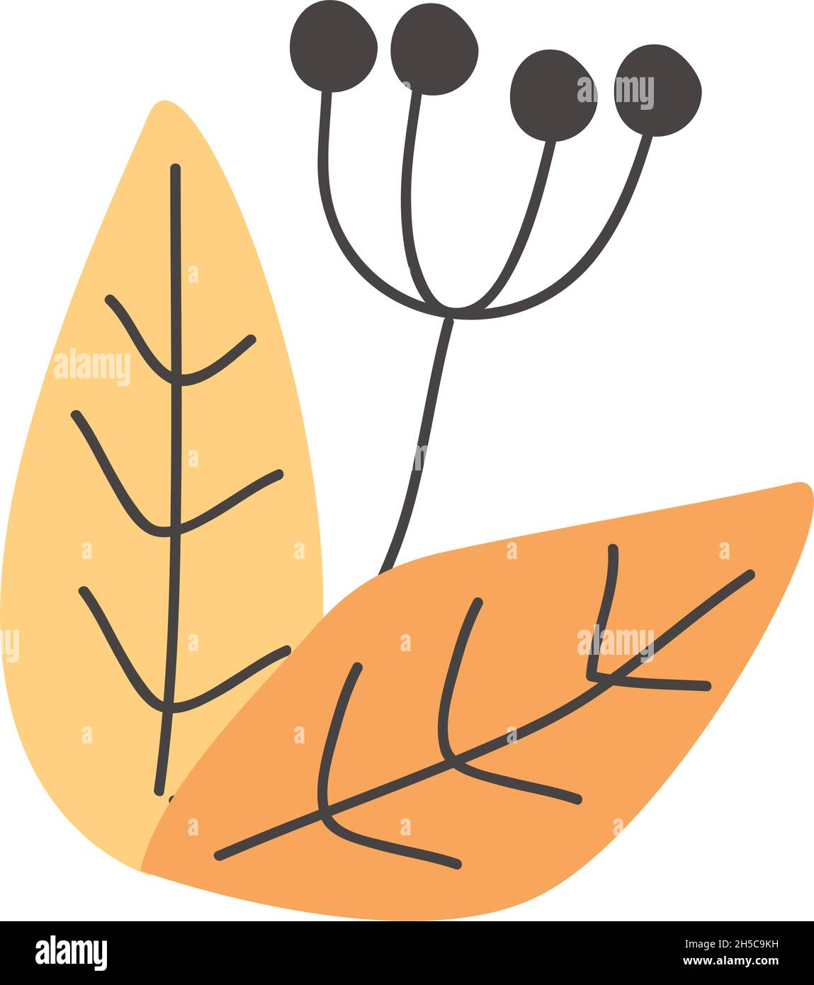 Golden aspen leaves Stock Vector Images - Alamy