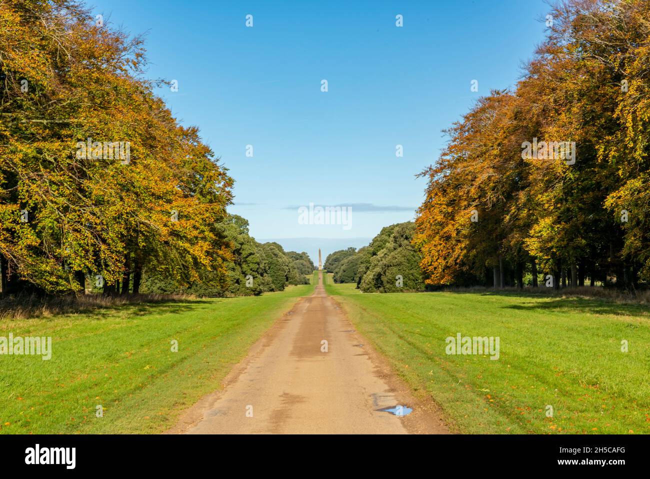 holkham hall the avenue, longlands at holkham, obelisk at holkham hall ...