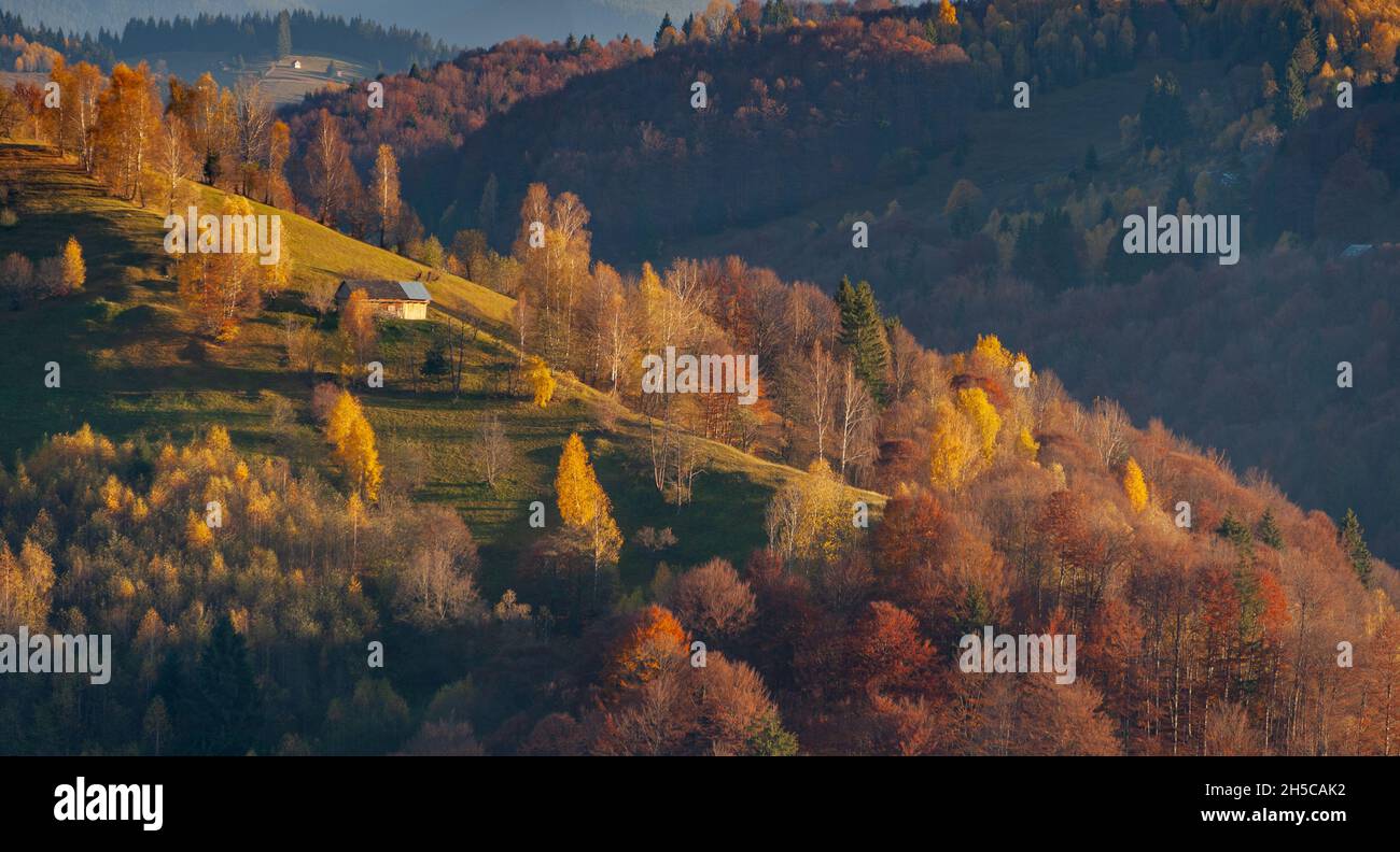 autumn landscapes from rucar-bran pass, romania Stock Photo - Alamy