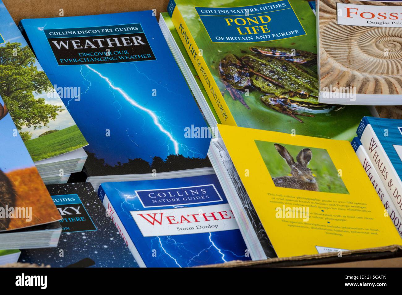 Informative literature hi-res stock photography and images - Alamy