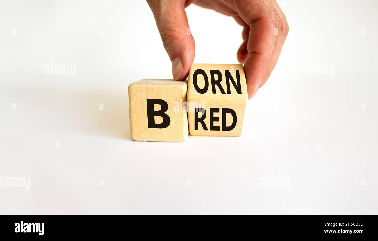 Born or bred symbol. Businessman turns a wooden cube and changes the ...