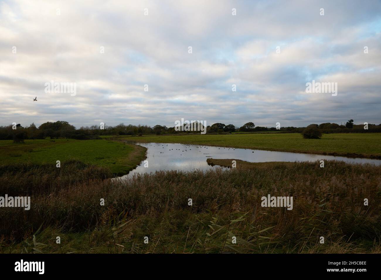 View of Bremere Rife in Pagham harbour nature reserve with water ...