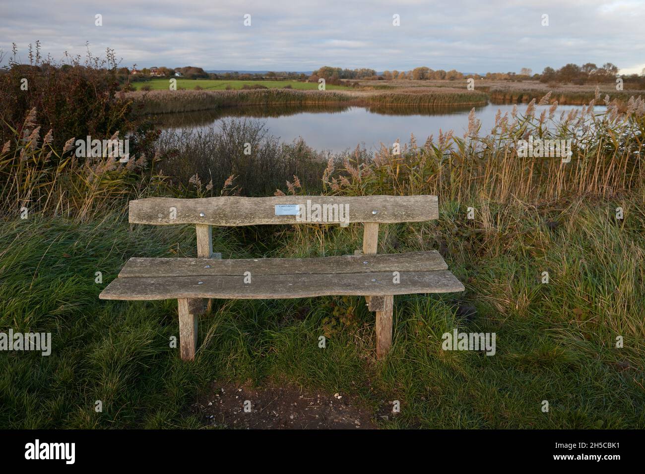 Wooden bench seen outdoors in Pagham Harbour Nature Reserve Stock Photo ...
