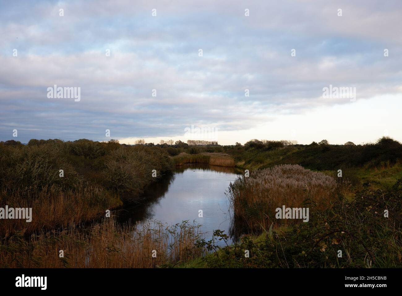 View of Bremere Rife in Pagham harbour nature reserve with water ...
