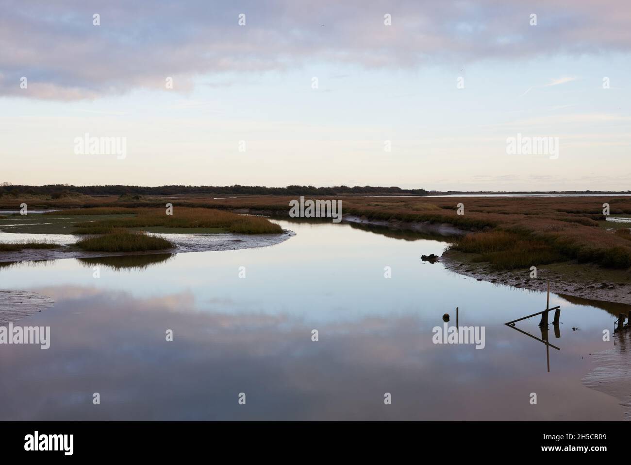 View of part of Breach Pool in Pagham Harbour Nature Reserve in ...