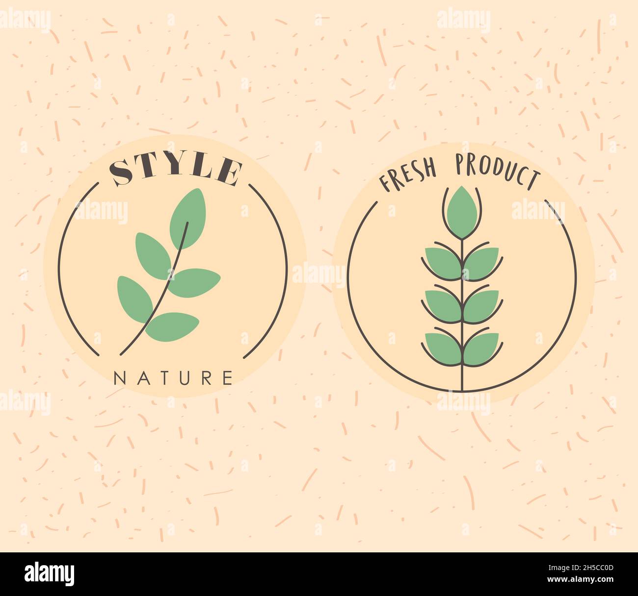 set of two natural seals Stock Vector Image & Art - Alamy