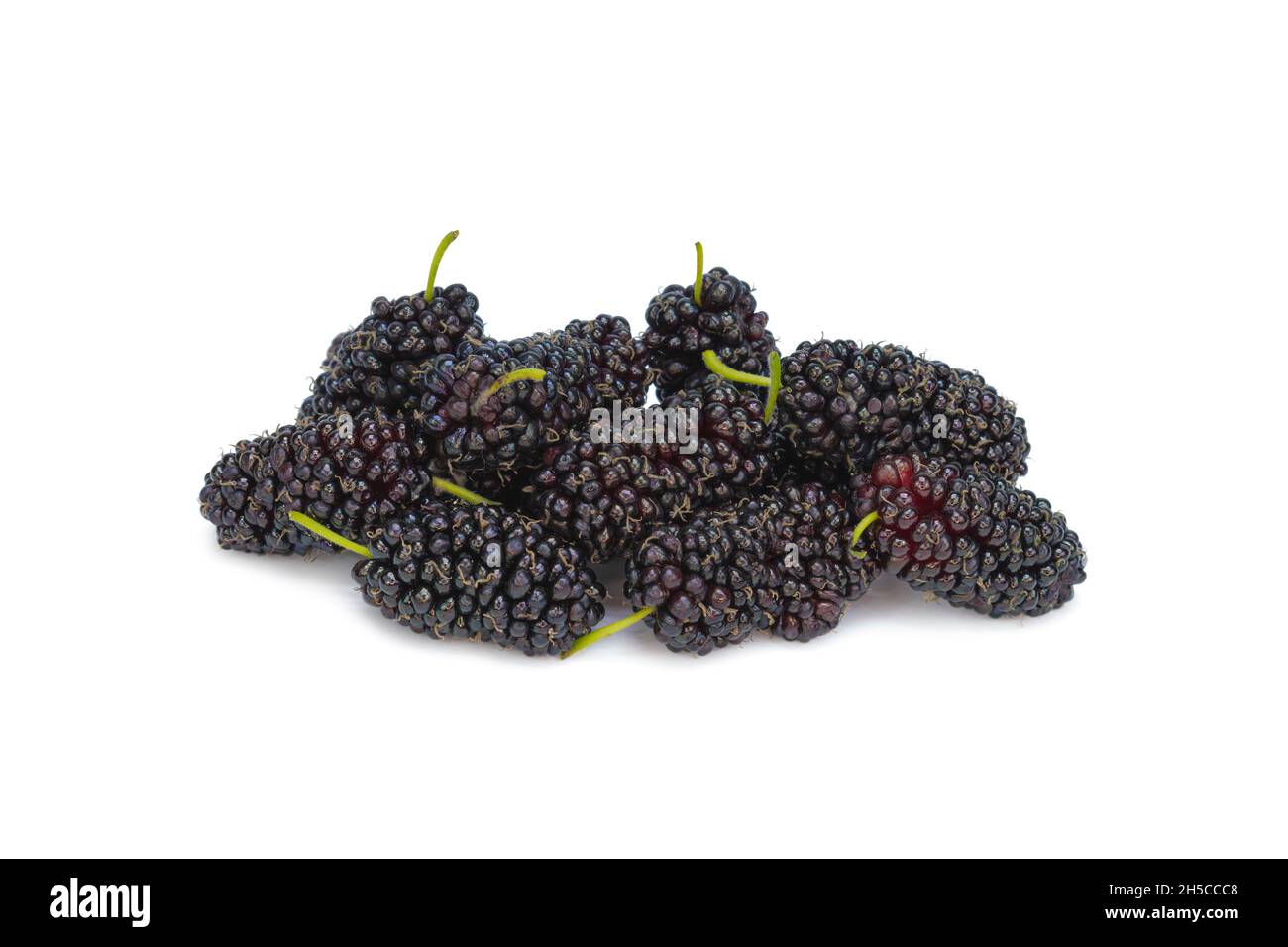 Mulberry fruits on isolated white background Stock Photo - Alamy